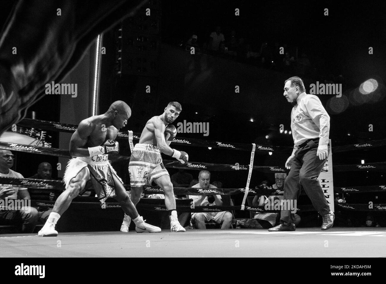 Ermal hadribeaj hi-res stock photography and images - Alamy