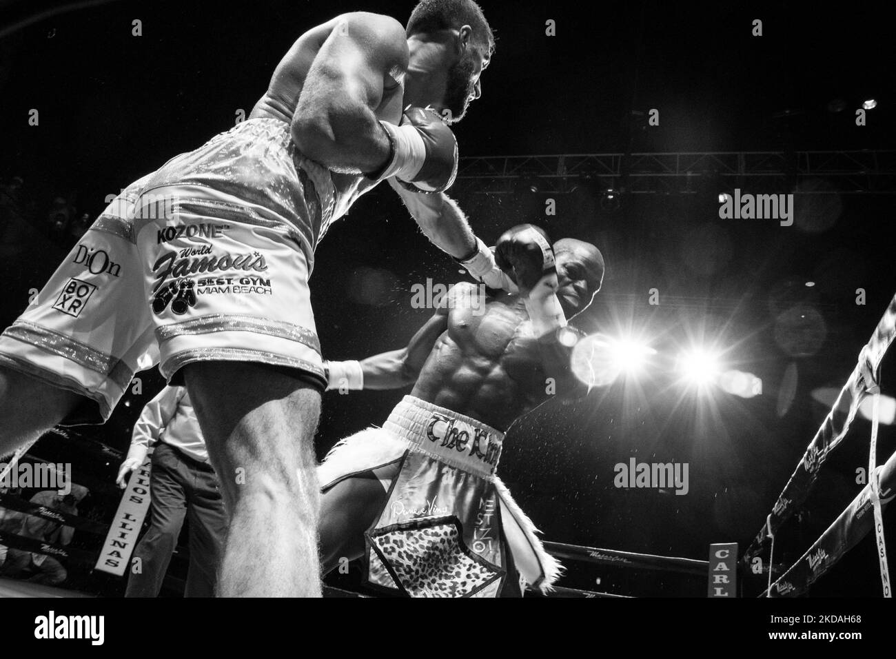 Ermal hadribeaj hi-res stock photography and images - Alamy