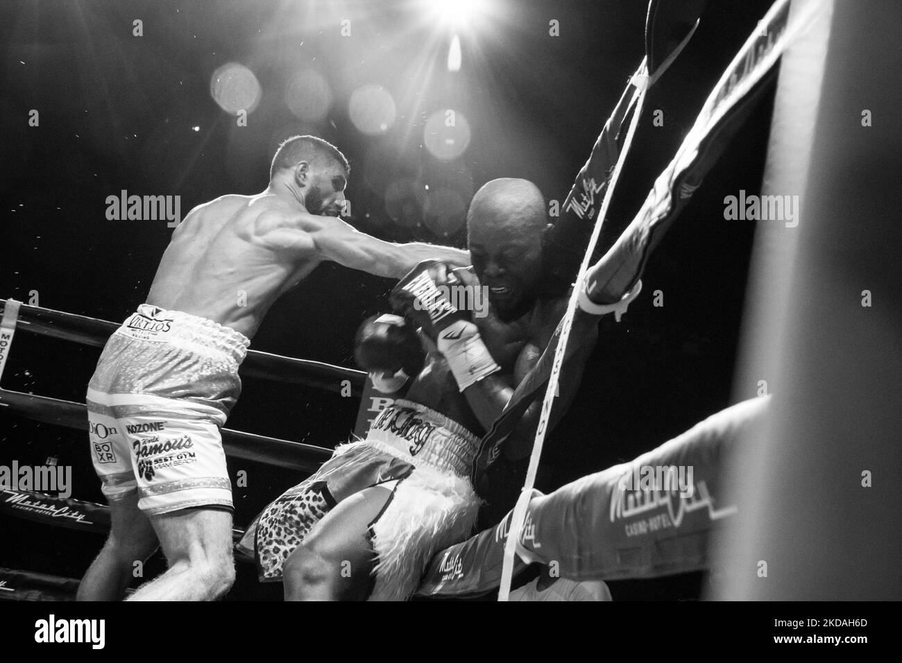 Ermal hadribeaj hi-res stock photography and images - Alamy