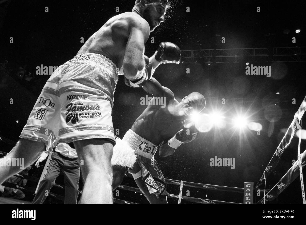 Ermal hadribeaj hi-res stock photography and images - Alamy