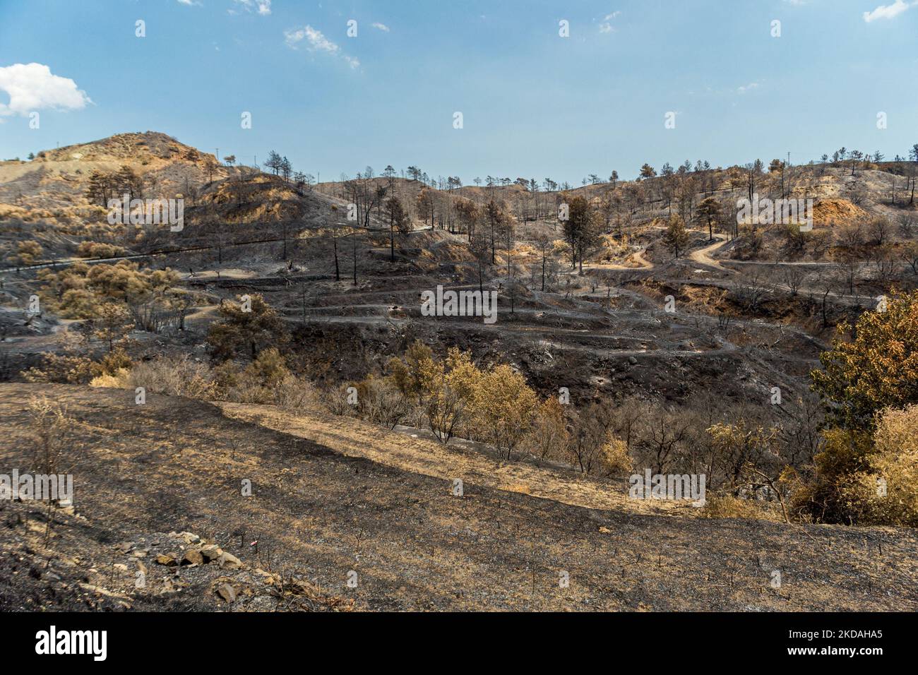 A huge area is burnt after a wildfire, Oral, Cyprus, on Jul. 10, 2021 ...