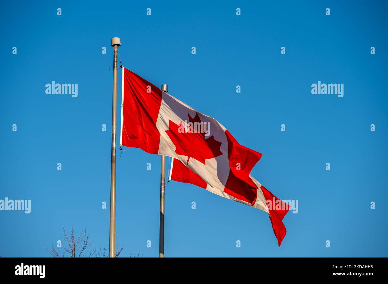 Ottawa canada canadian flags hi-res stock photography and images - Alamy