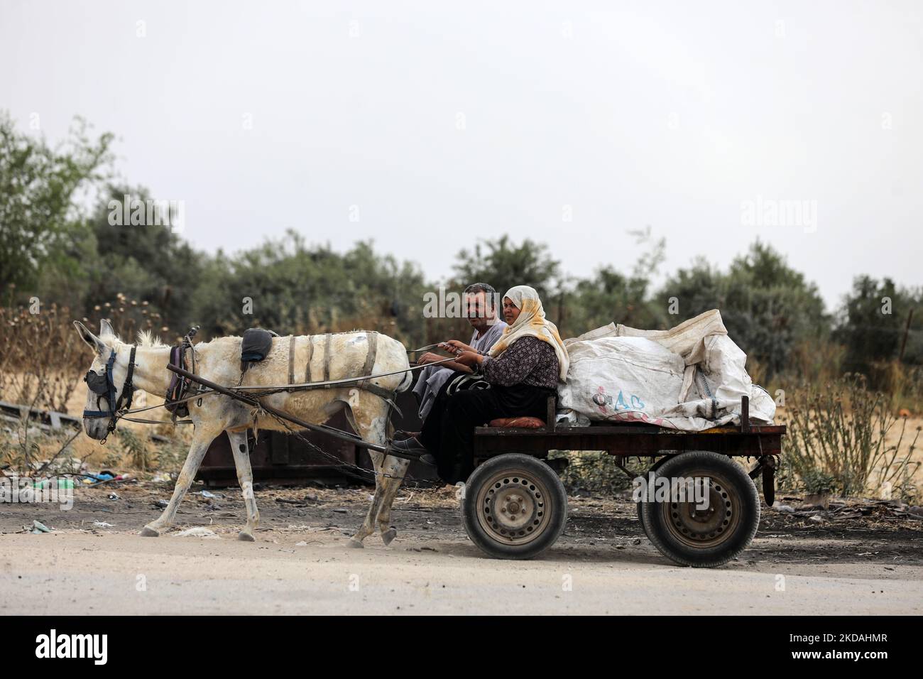 Donkey cart palestine hi-res stock photography and images - Alamy
