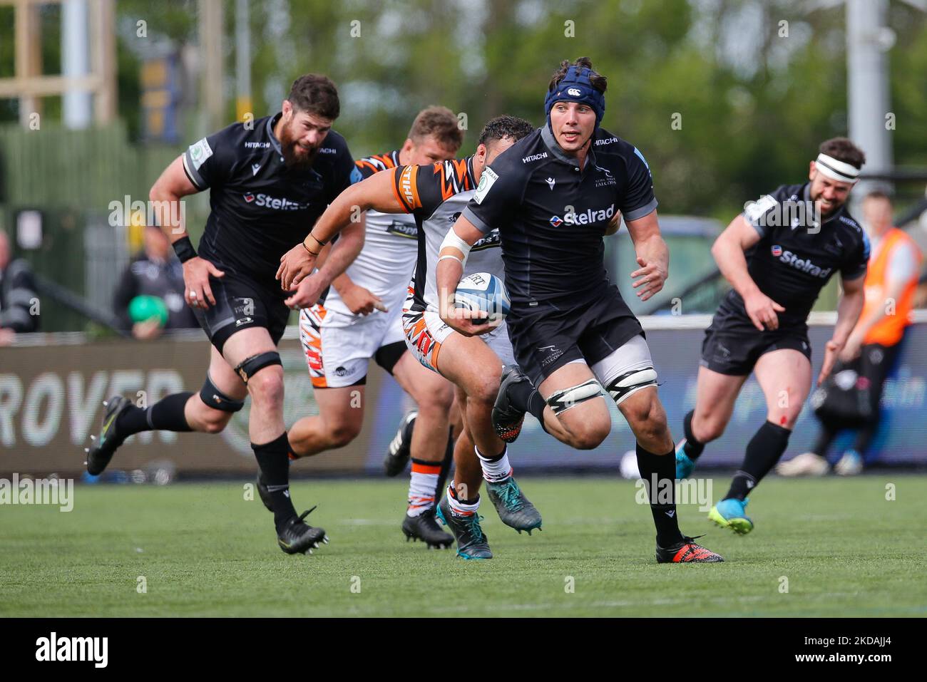 Josh Basham of Newcastle Falcons breaks clear during the Gallagher ...