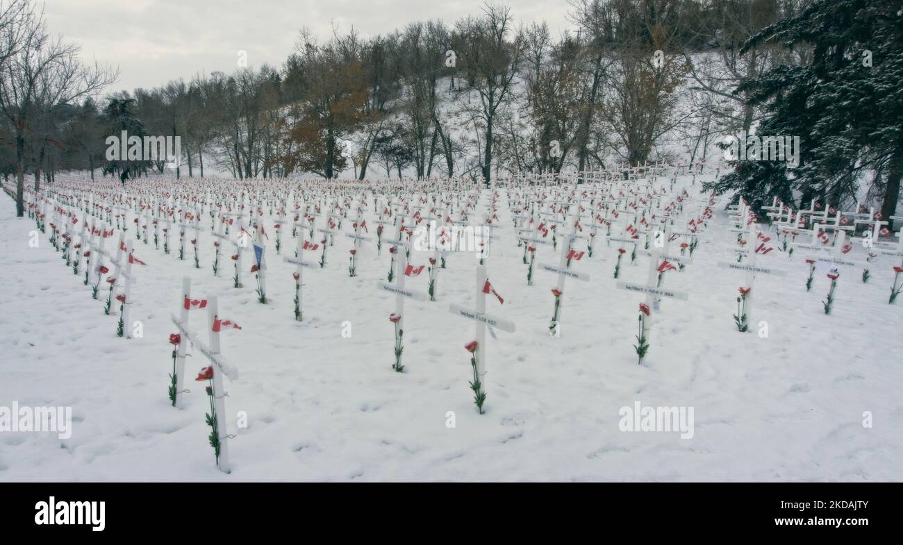 Remembrance Day Calgary Alberta Stock Photo - Alamy