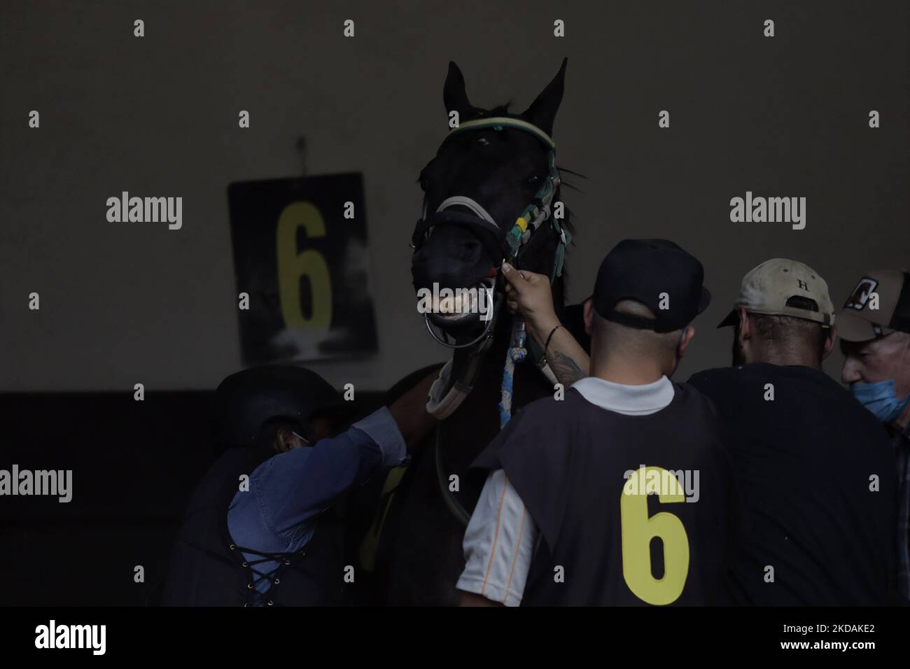 A horse is attended to by trainers and handlers prior to the Second ...