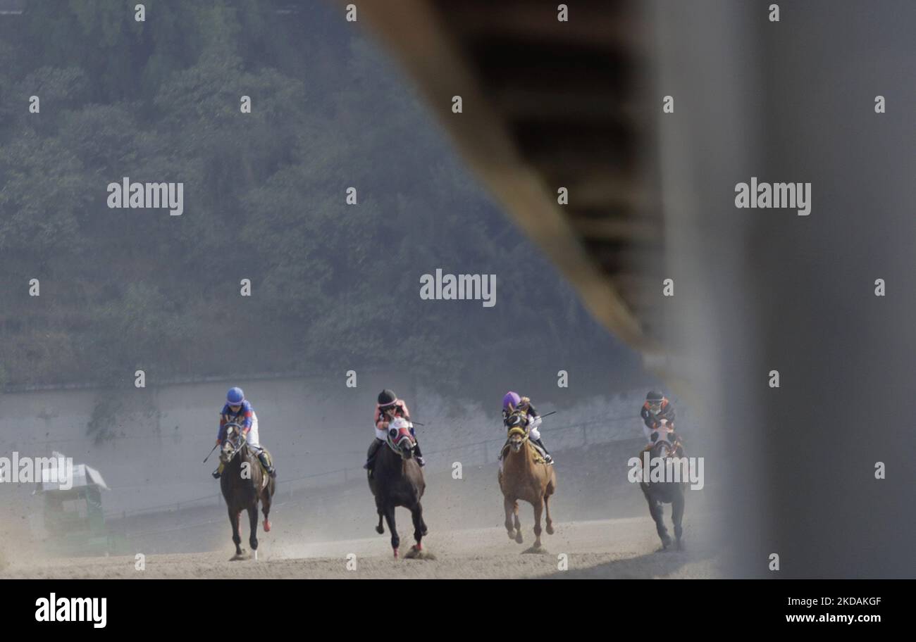 Second Women's Jockeys Race at the Hipódromo de Las Américas in Mexico ...