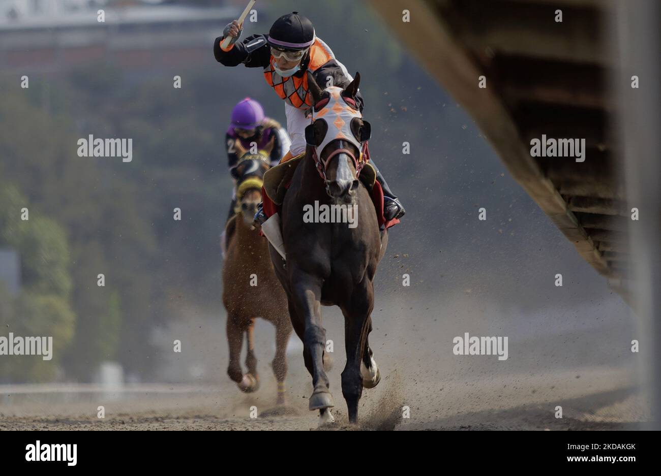 Second Women's Jockeys Race at the Hipódromo de Las Américas in Mexico ...