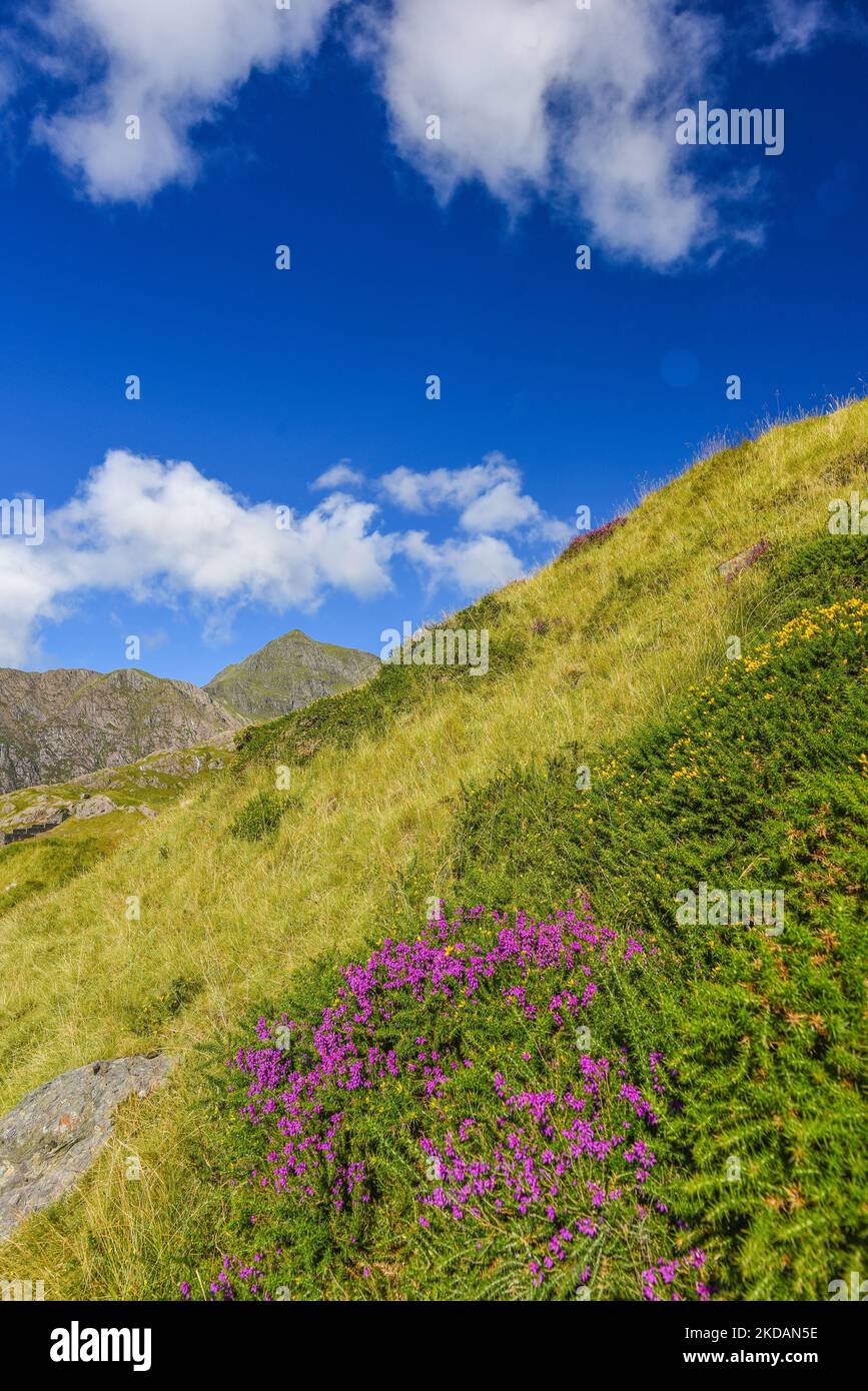 Amazing view of Snowdon summit on amazing summer morning, Snowdonia ...