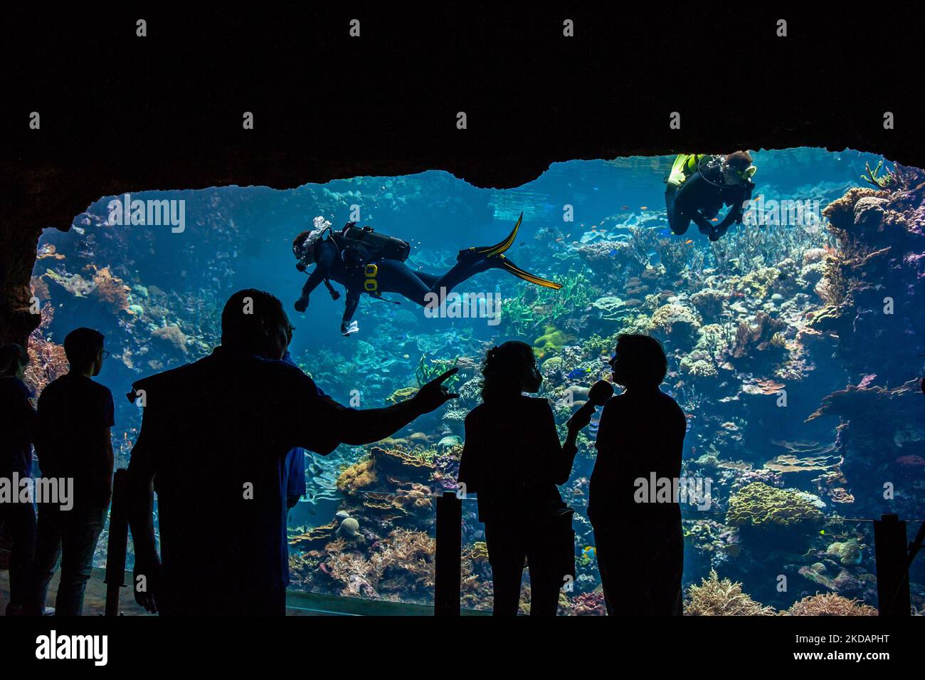 Part of the press is looking at the environmentally-friendly artificial reef created by the ...