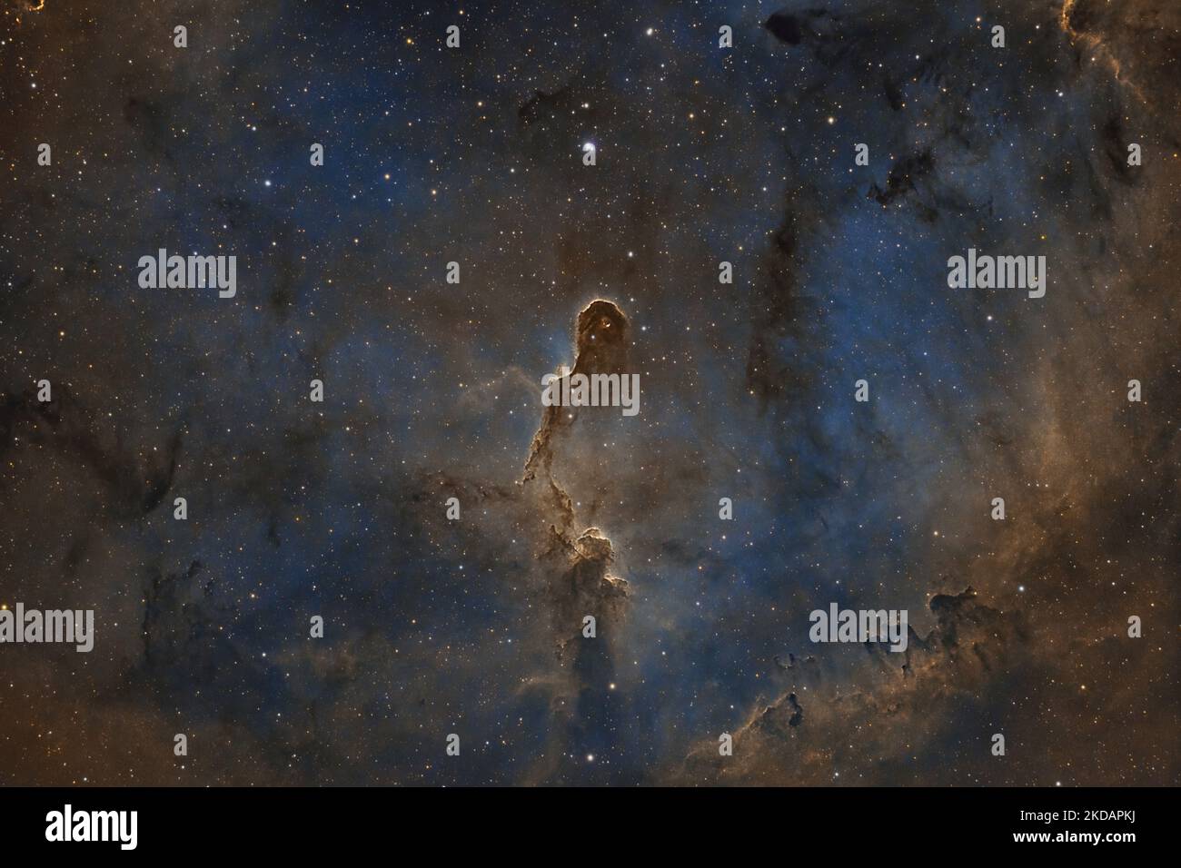 The Elephant's Trunk Nebula in the universe Stock Photo - Alamy