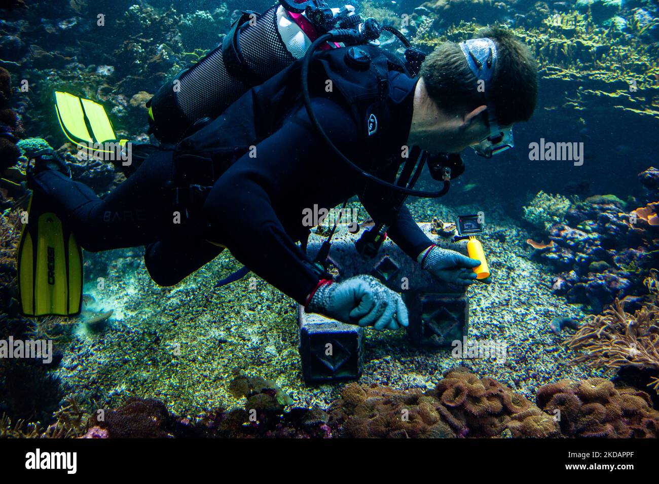 One of the divers is checking the environmentally-friendly artificial ...