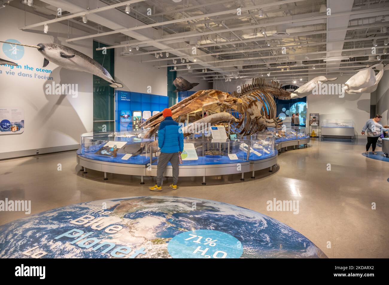 Ottawa, Ontario - October 21, 2022: whale exhibits and the Canadian ...