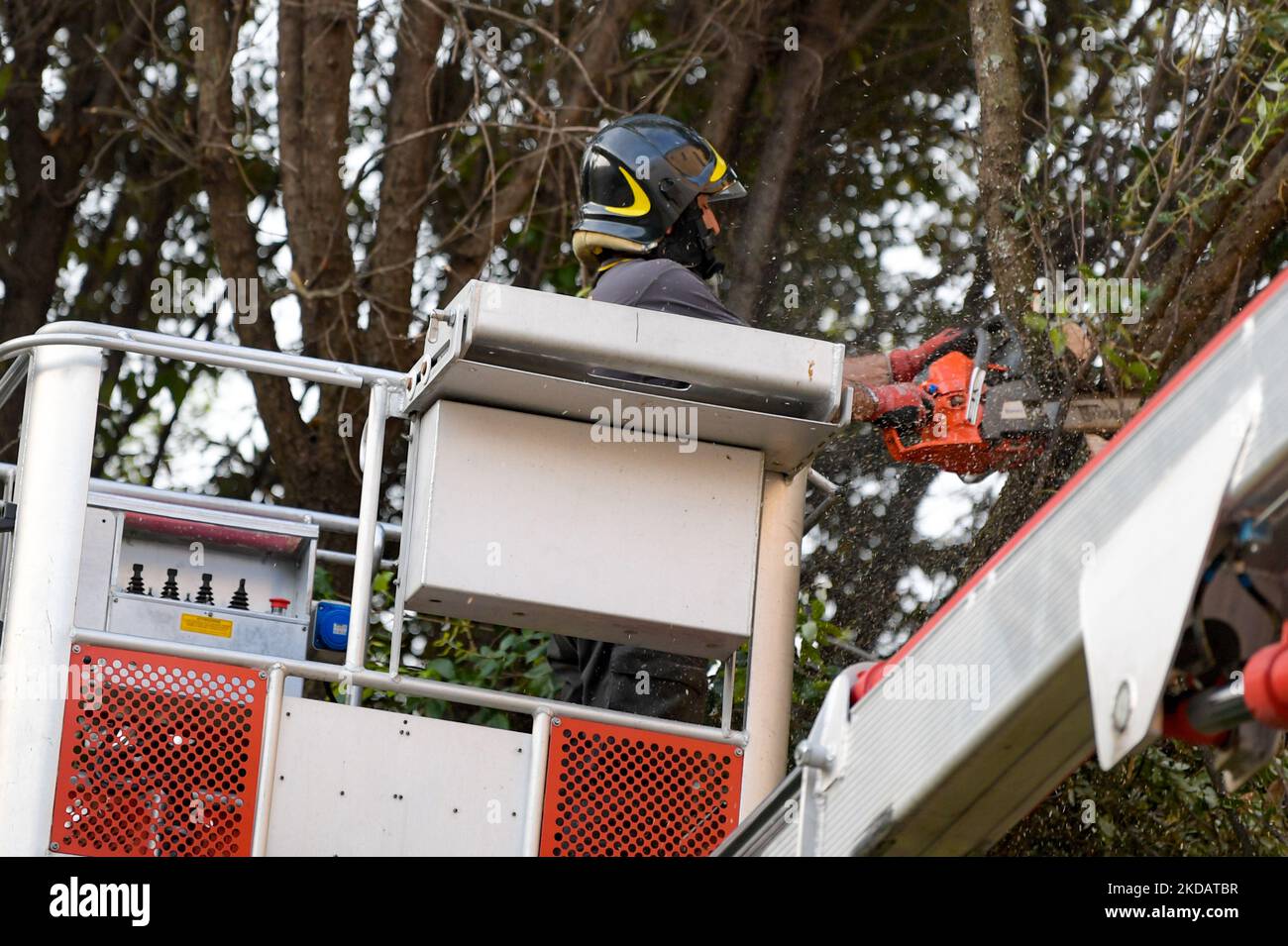 Fire brigade cutting trees hi-res stock photography and images - Alamy