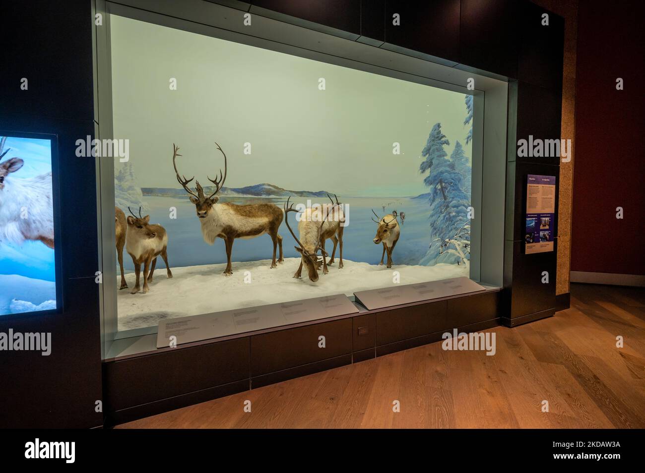 Ottawa, Ontario - October 21, 2022: Exhibits and the Canadian Museum of ...