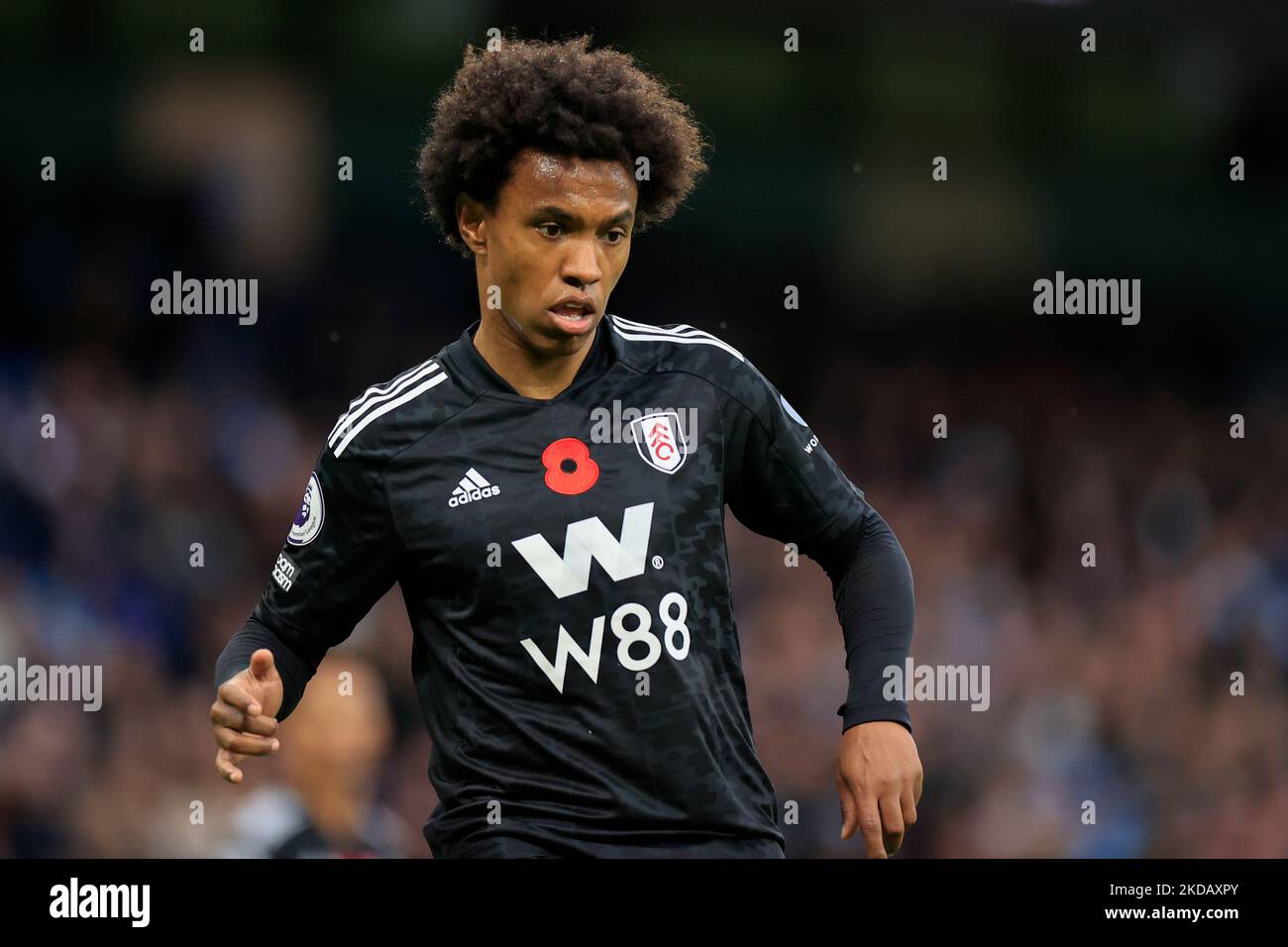 Willian #20 of Fulham during the Premier League match Manchester City ...