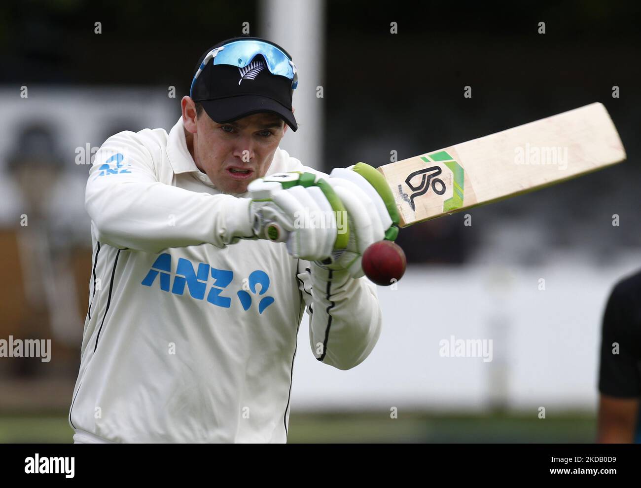 Tom latham new zealand hi-res stock photography and images - Alamy