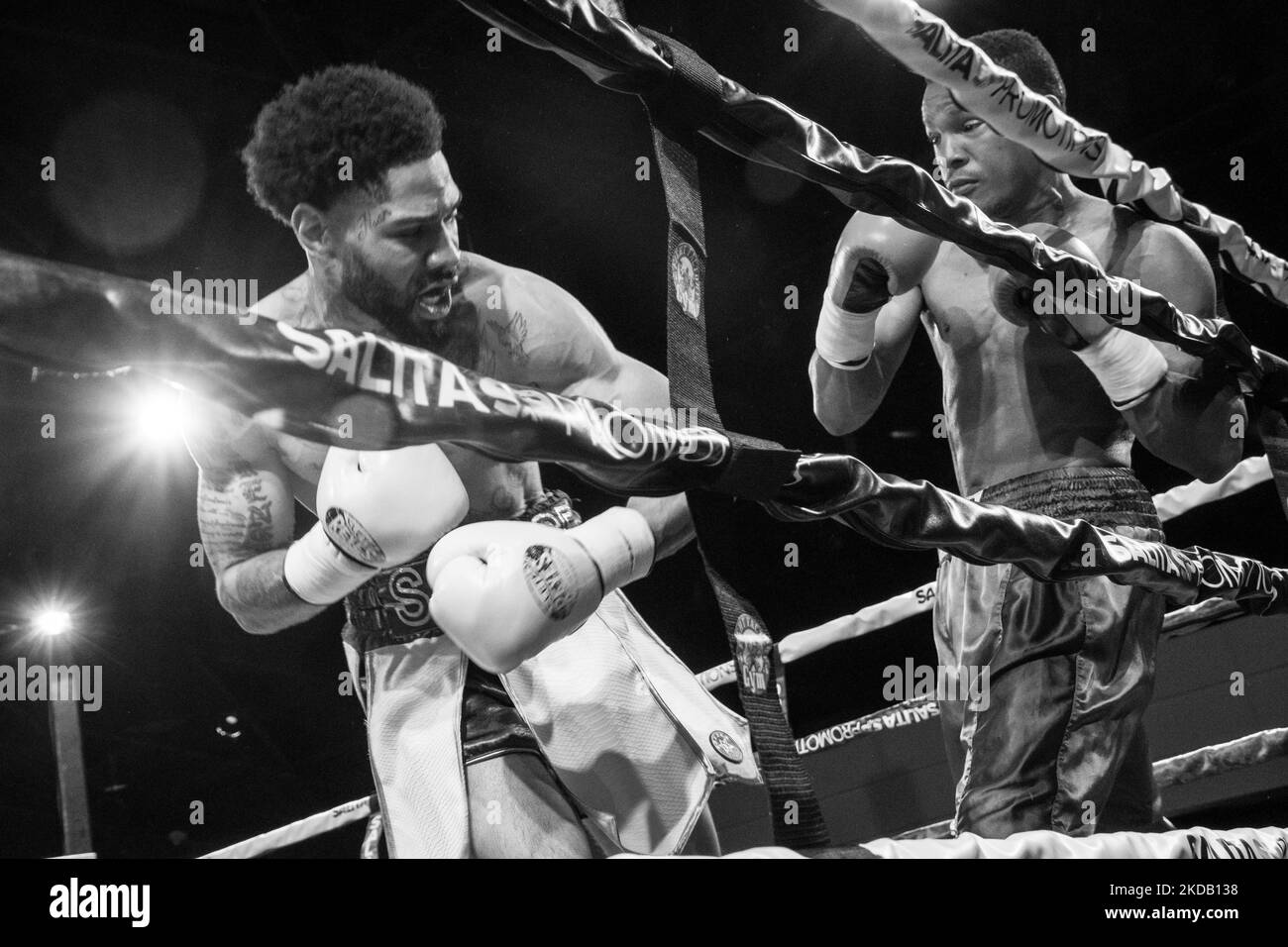 Super welterweight Marlon “Savage” Harrington (8-0, 7 KOs; Detroit, MI ...