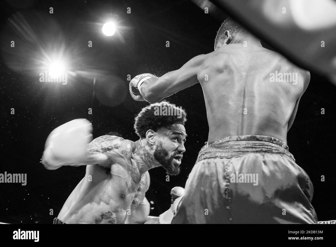 Super welterweight Marlon “Savage” Harrington (8-0, 7 KOs; Detroit, MI ...