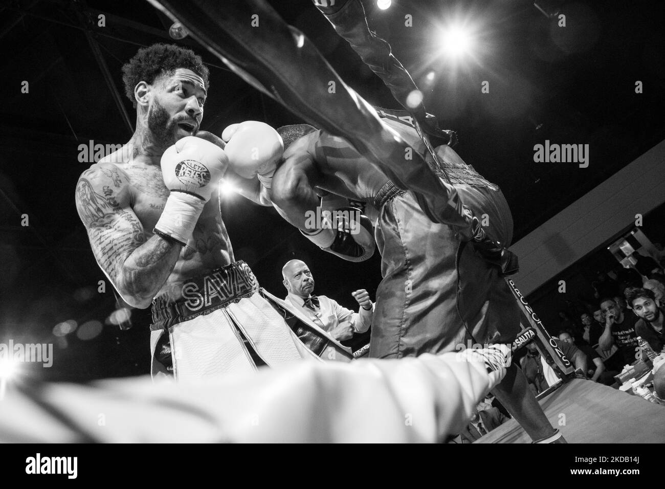 Super welterweight Marlon “Savage” Harrington (8-0, 7 KOs; Detroit, MI ...