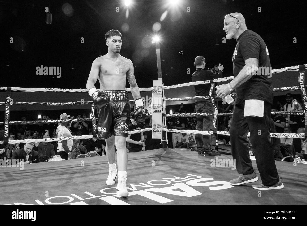 Professional boxing hi-res stock photography and images - Alamy
