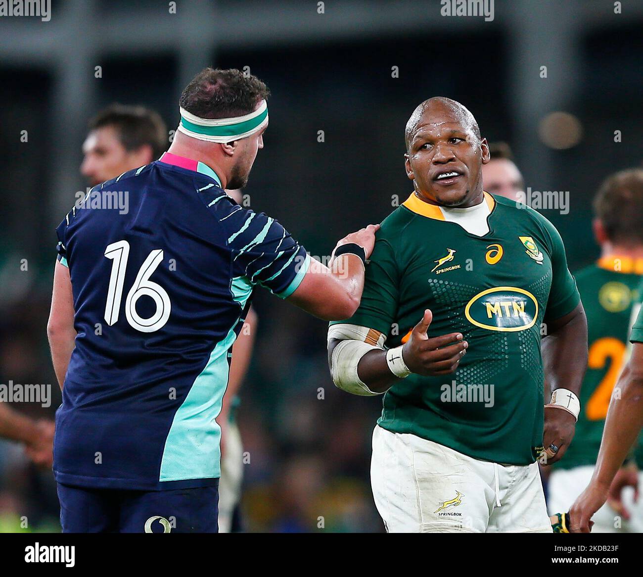 5th November 2022; Aviva Stadium, Dublin, Ireland: Autumn Series ...