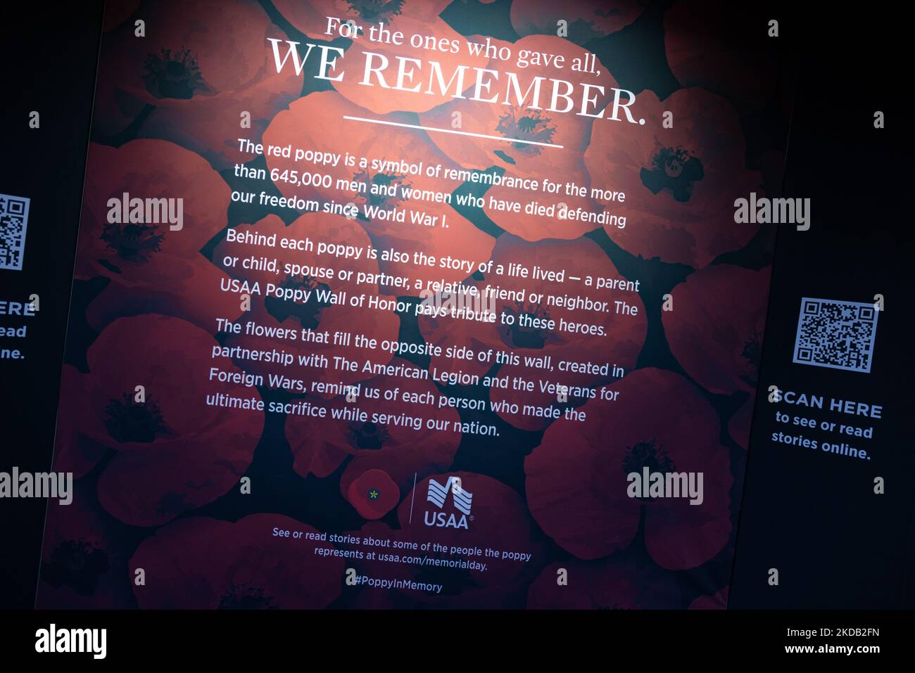 People visit the USAA Poppy Wall of Honor, a tribute containing more ...