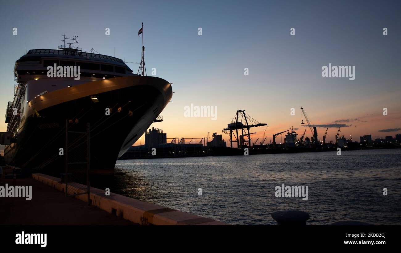 A cruise ship sits docked as U.S. Customs and Border Protection ...