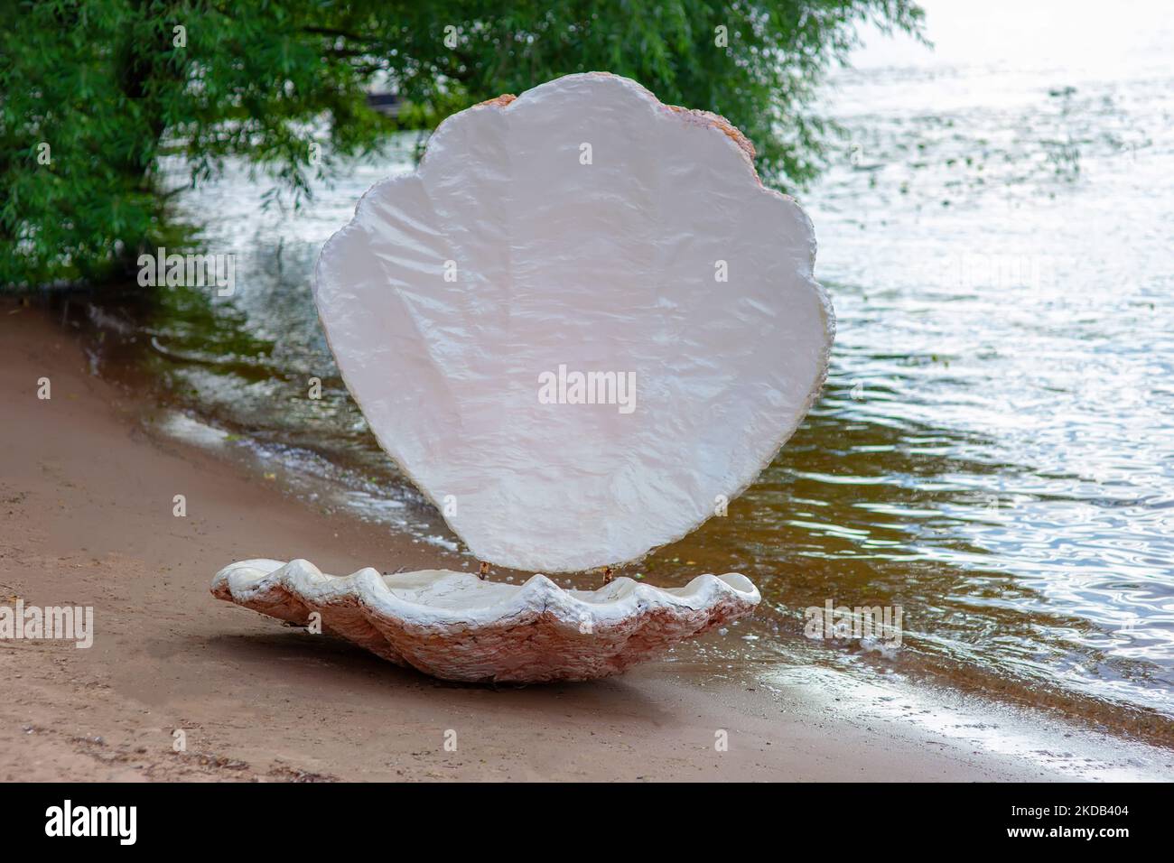 Seashell on the shore hi-res stock photography and images - Alamy