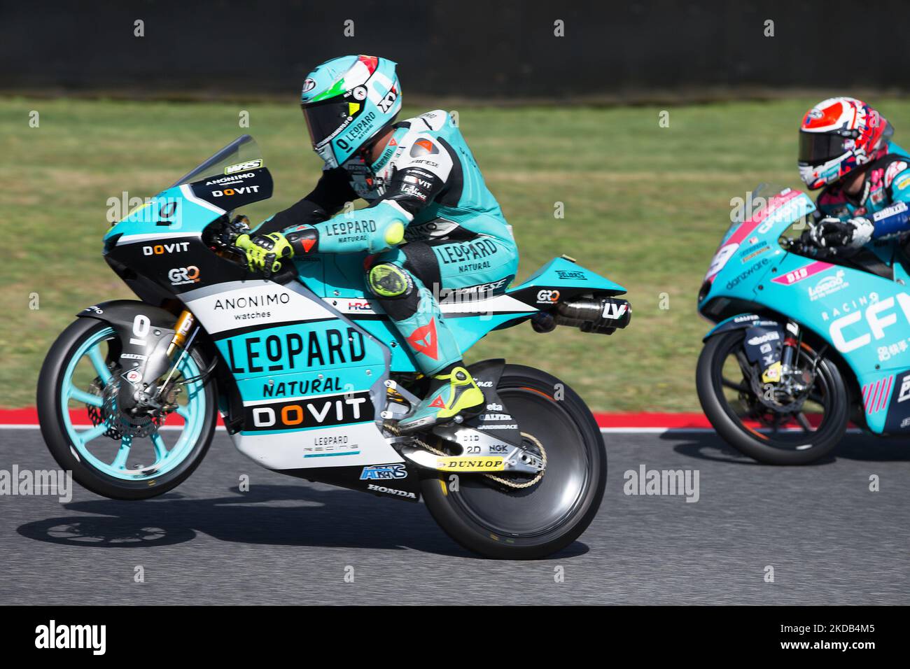 Honda leopard racing hi-res stock photography and images - Alamy