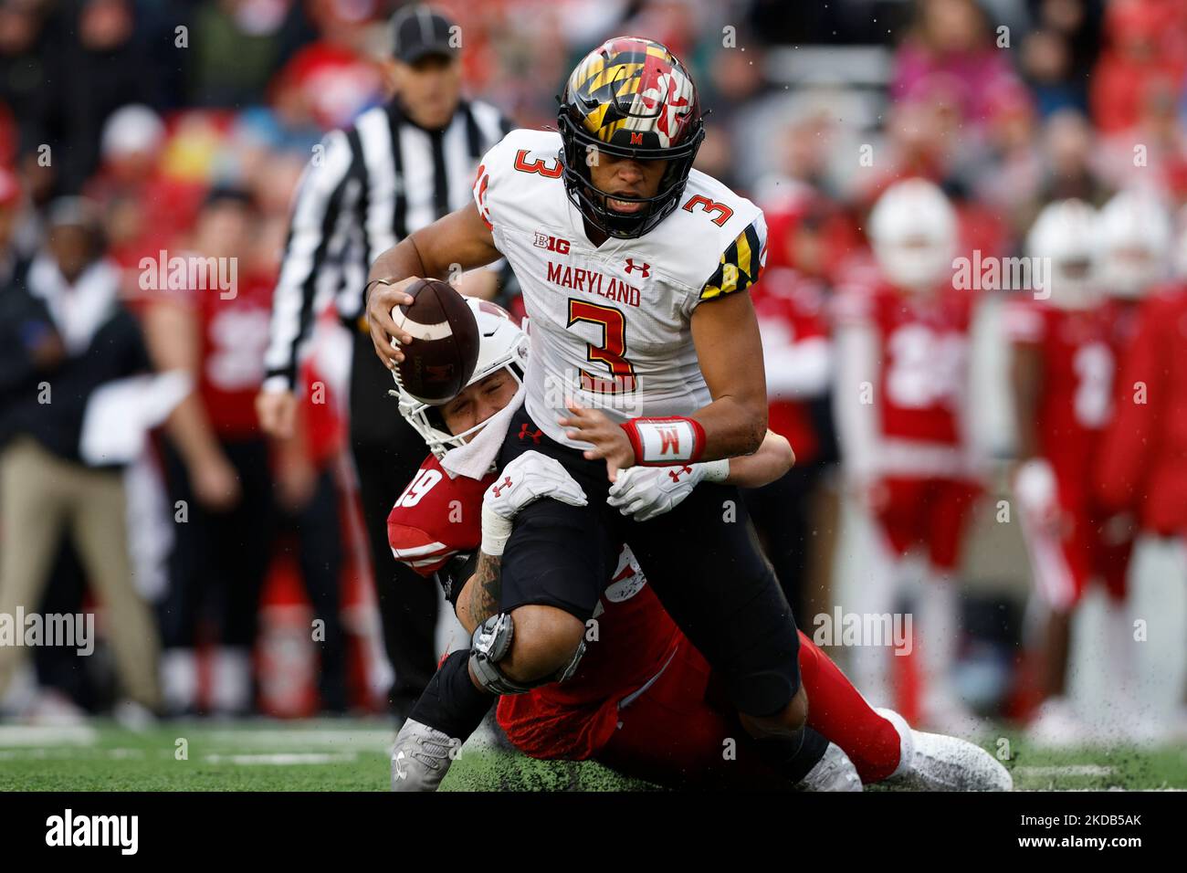 Madison, WI, USA. 5th Nov, 2022. Maryland Terrapins quarterback Taulia ...