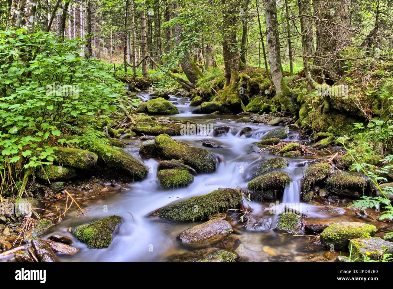 A long exposure shot of a forest river in Austria Stock Photo - Alamy