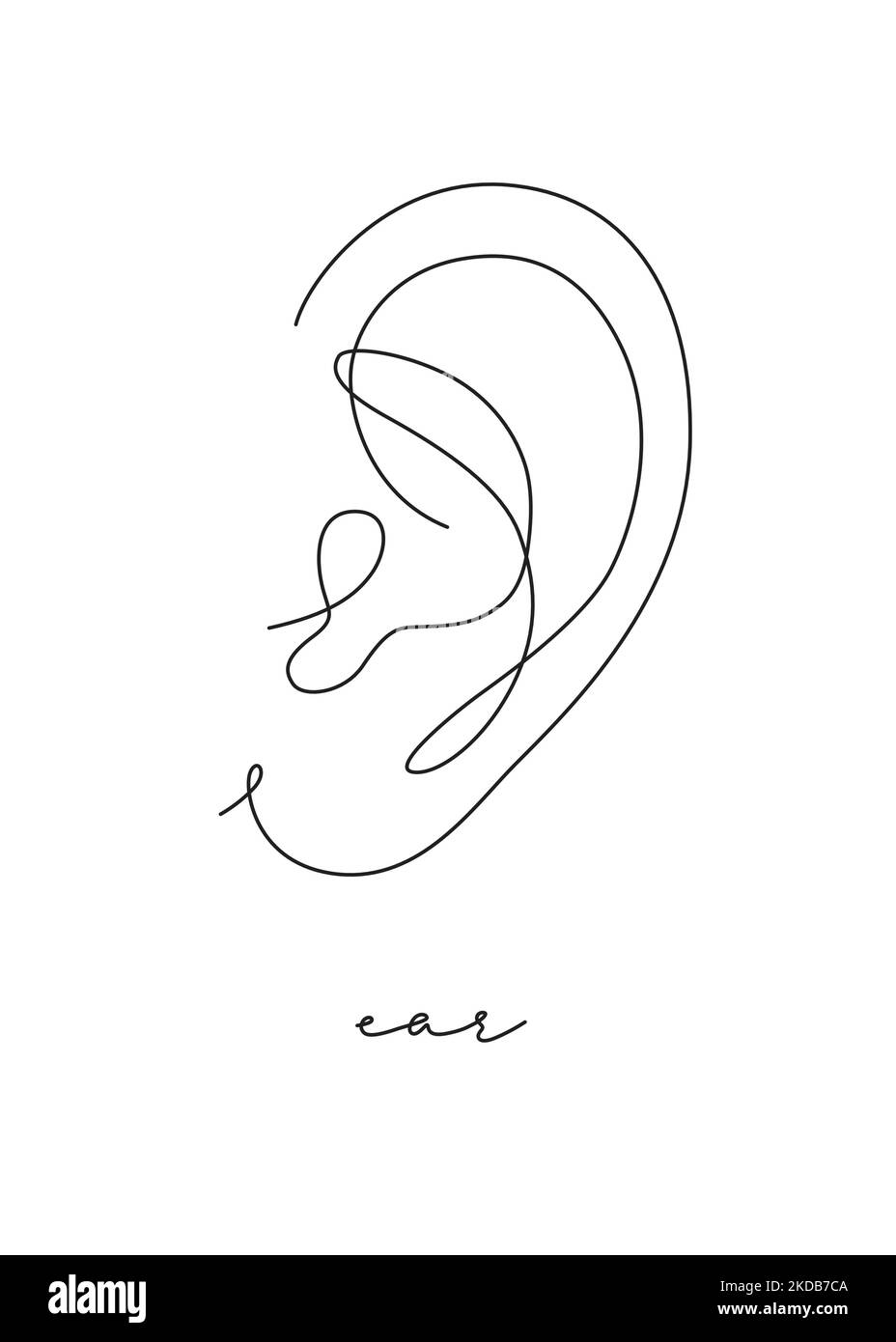 Pen line poster ear drawing in pen line style on white background Stock ...