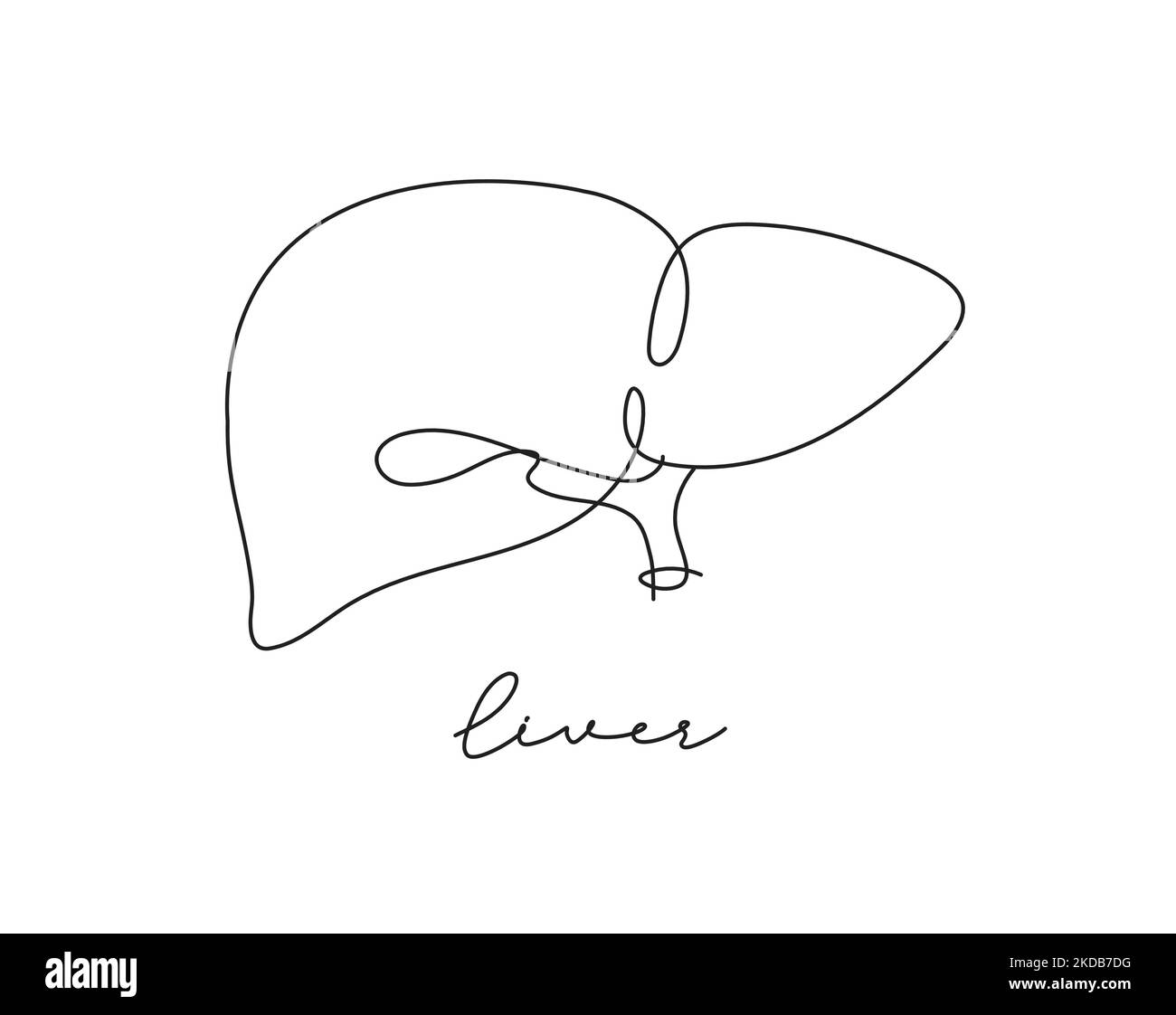 Liver Drawing For Kids