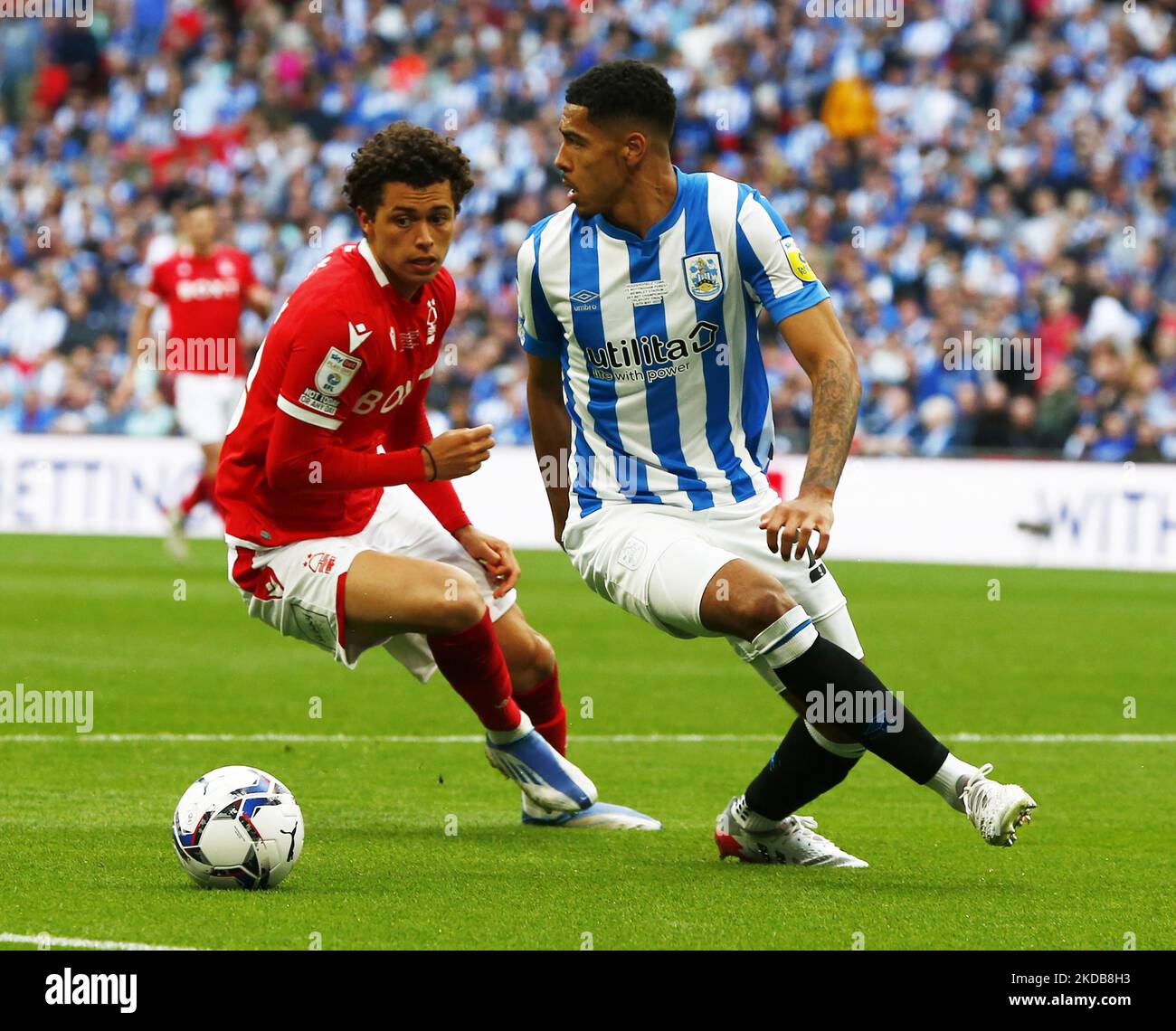 Levi colwill england hi-res stock photography and images - Alamy