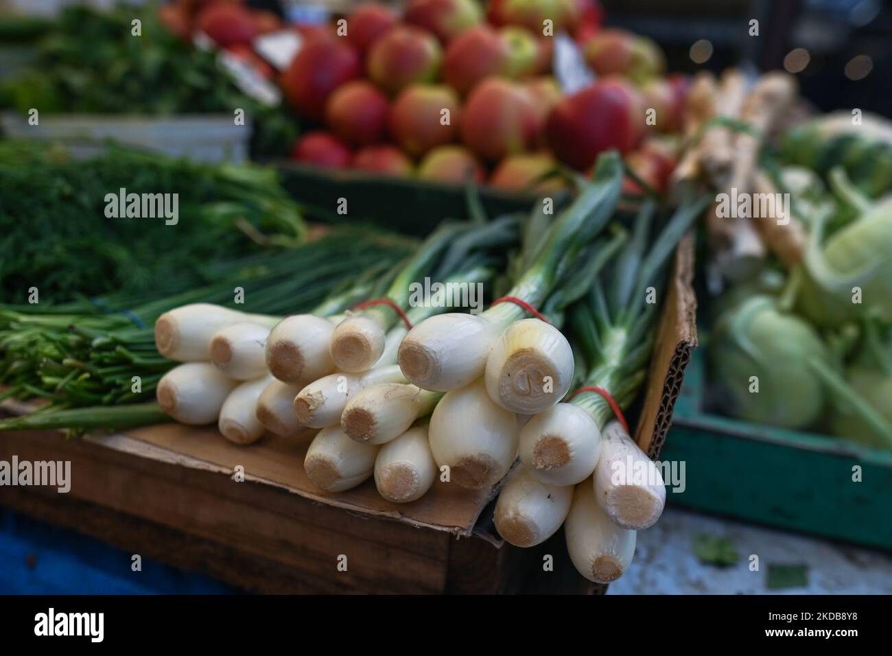 Green ognion hi-res stock photography and images - Alamy