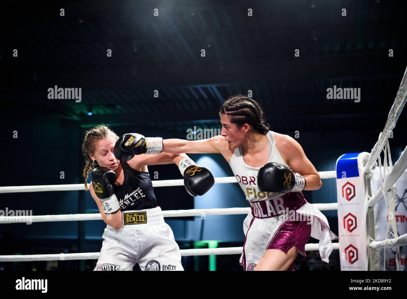 Hamburg, Germany. 05th Nov, 2022. Boxing, professionals, WIBF World ...