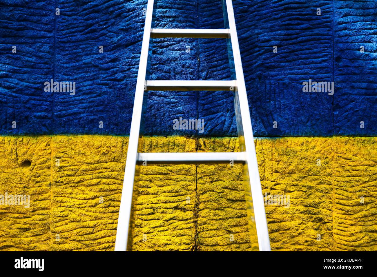 A ladder is seen on International Children's Day during an event ...