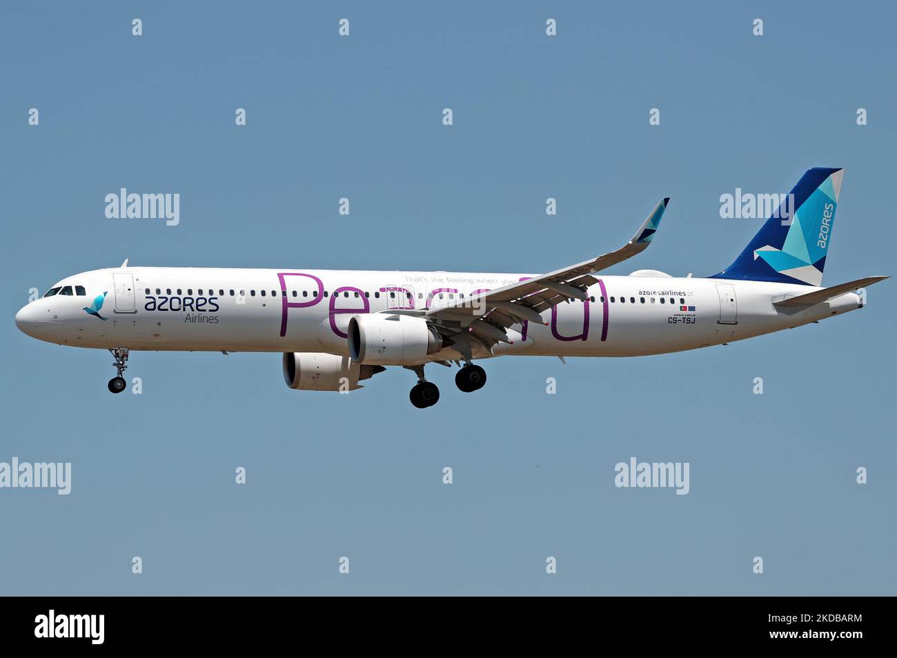 Airbus a321 253nx peaceful livery hi-res stock photography and images ...