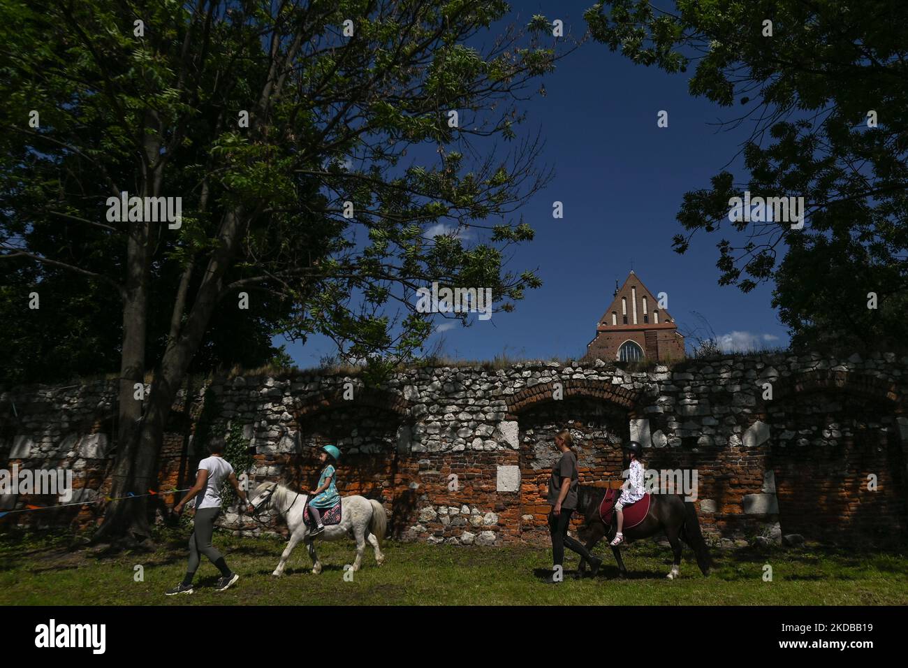 Half hectare meadow hi-res stock photography and images - Alamy