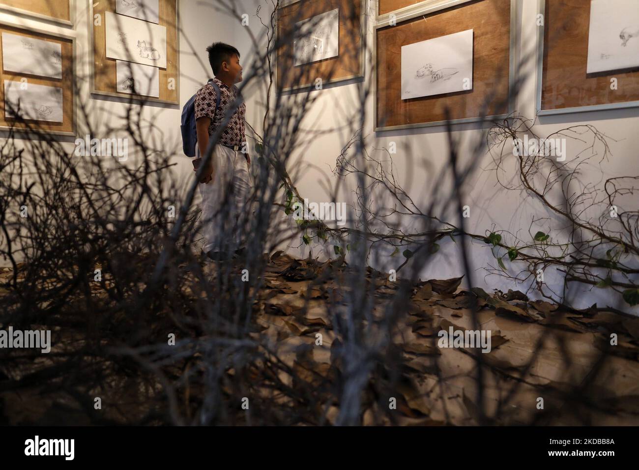 Donal gallery hi-res stock photography and images - Alamy