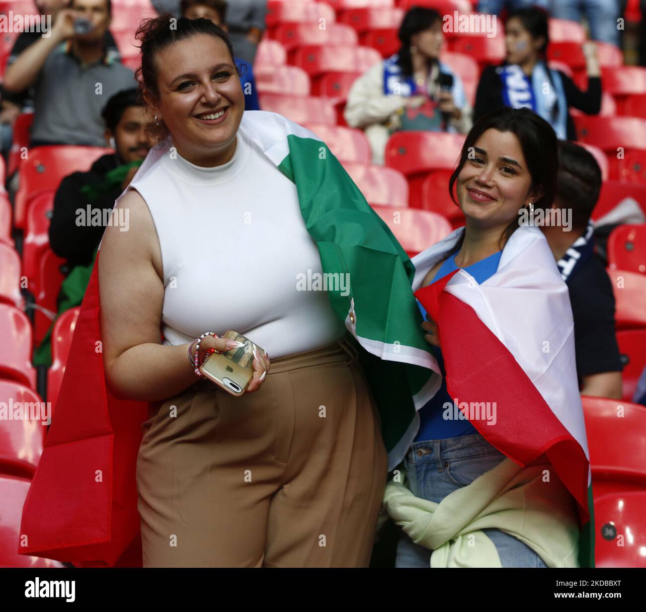 Argentina Fan during Finalissima Conmebol - UEFA Cup of Champions ...