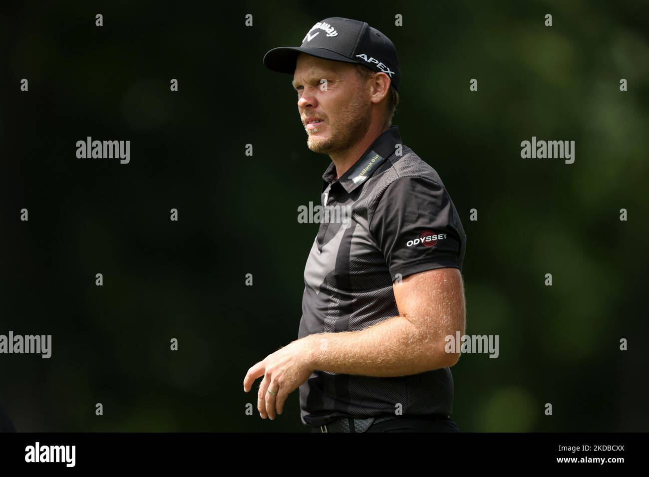 Willett hi-res stock photography and images - Alamy