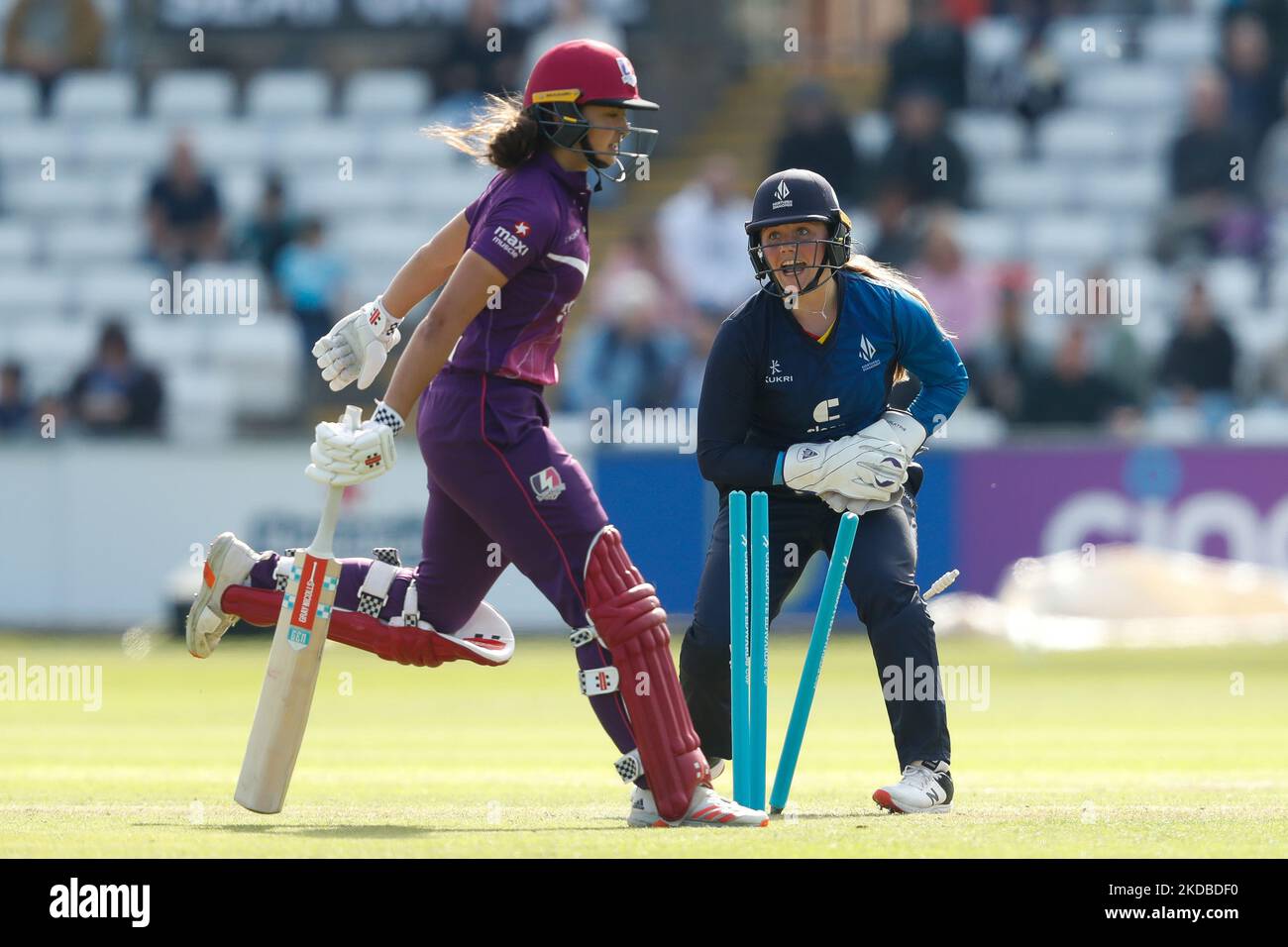 Bess Heath of Northern Diamonds attempts to run out Sophie Munro of ...