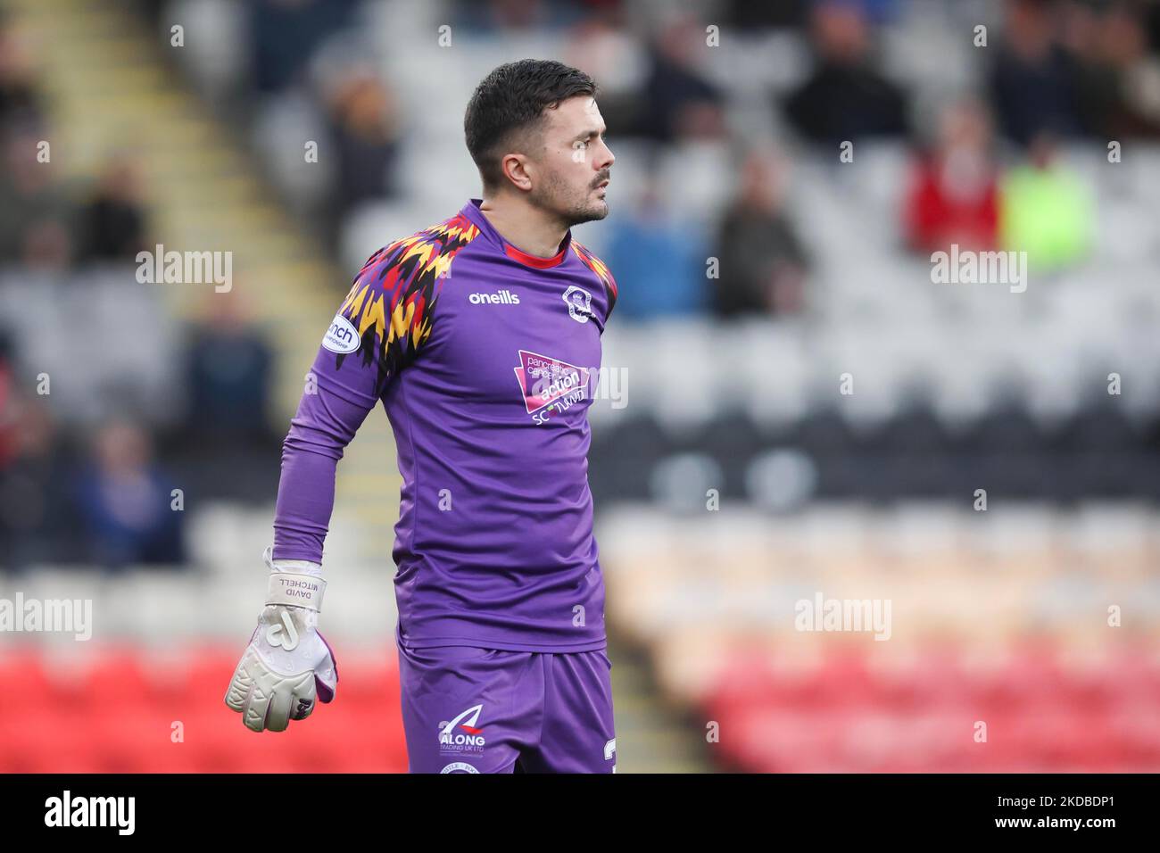 David thistle hi-res stock photography and images - Alamy