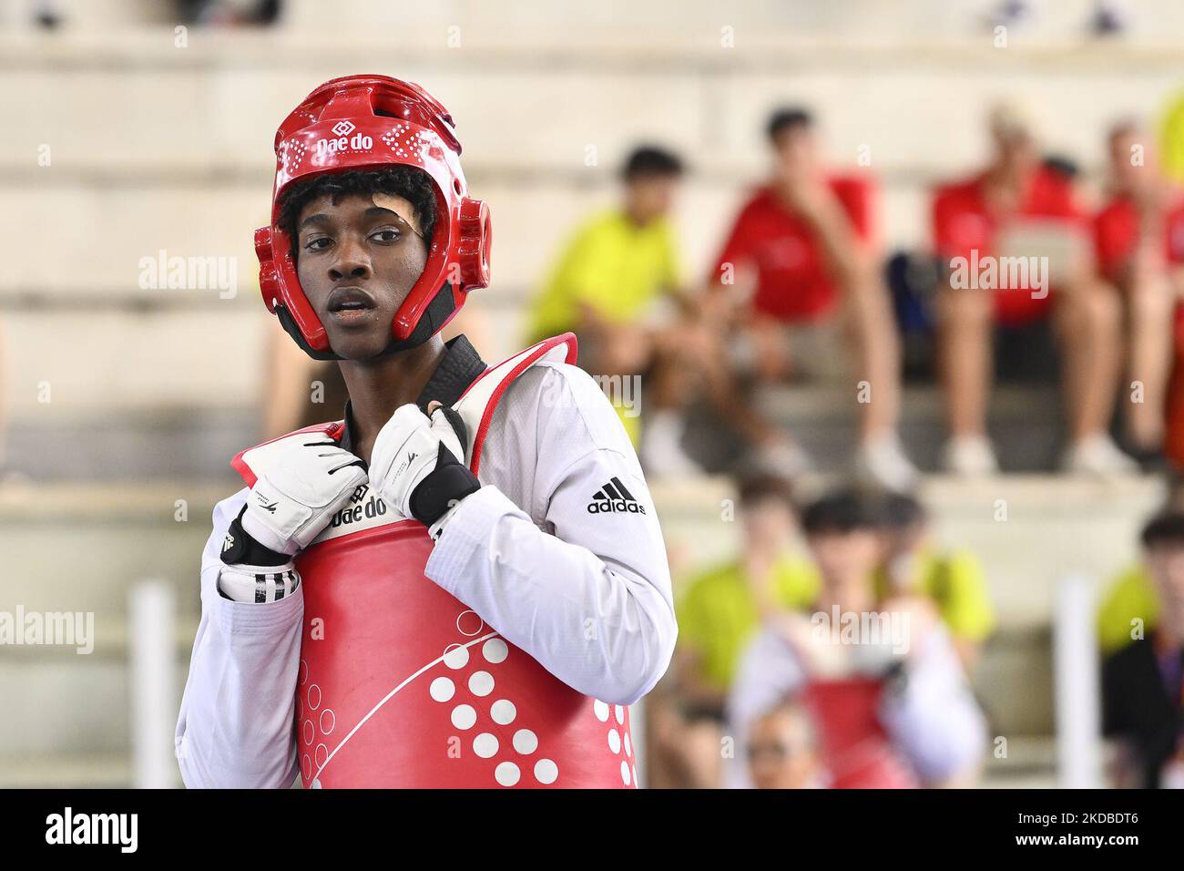 Omar gergely hi-res stock photography and images - Alamy