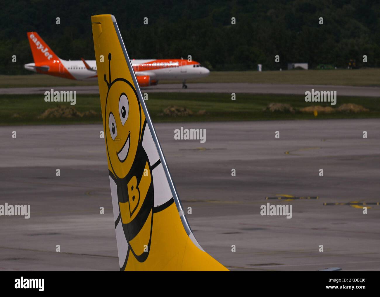 Buzz airlines logo hi-res stock photography and images - Alamy