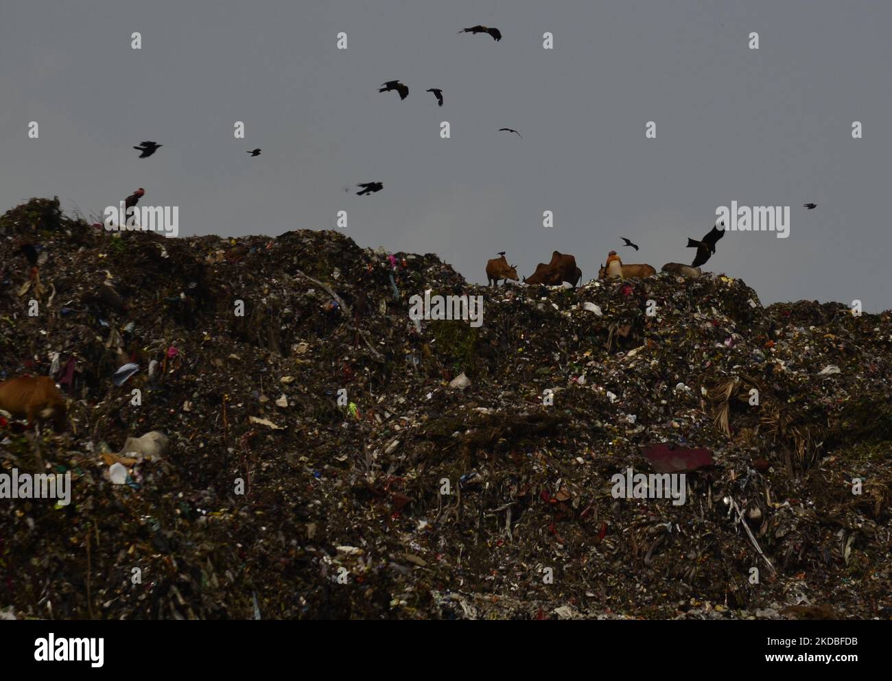 Polluted garbage ground is seen before the day of World Environment Day ...