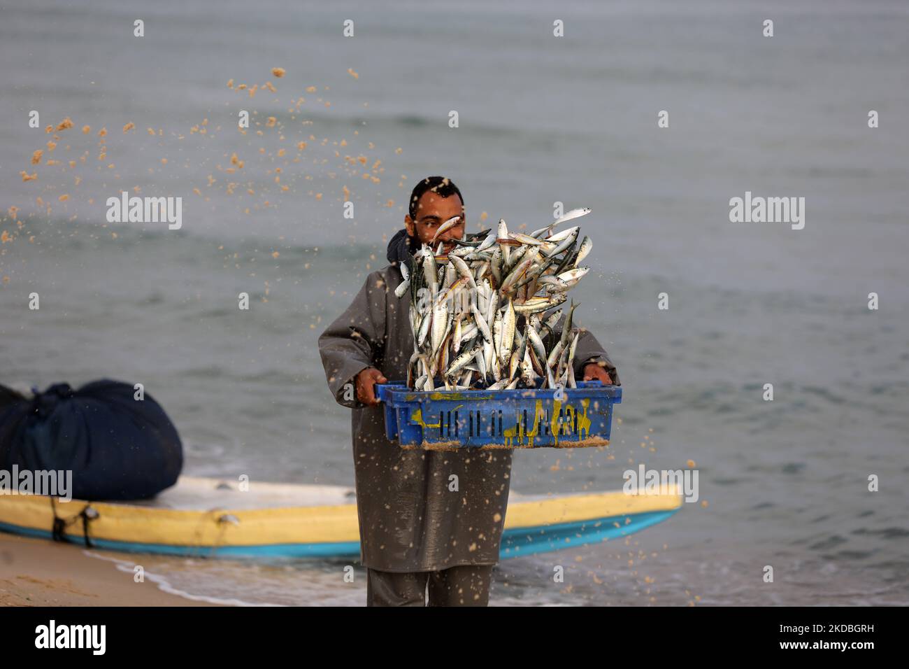 Palestinian fisherman displaying fish in the Mediterranean Sea off the ...