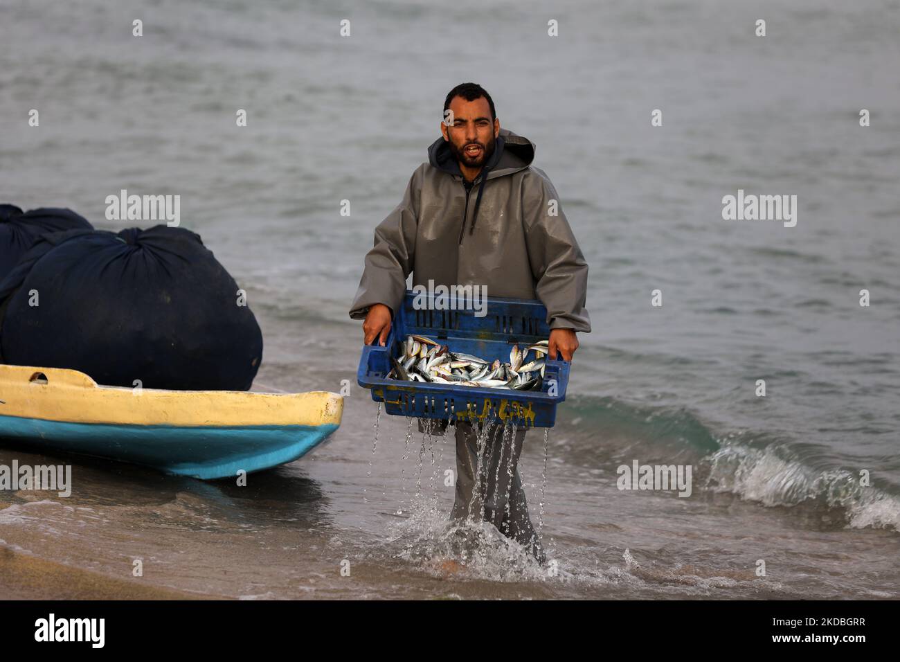 Palestinian fisherman displaying fish in the Mediterranean Sea off the ...